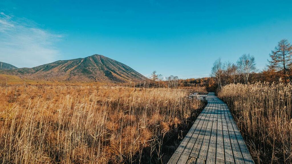 Essential Nikko - Travelogues from Remote Lands