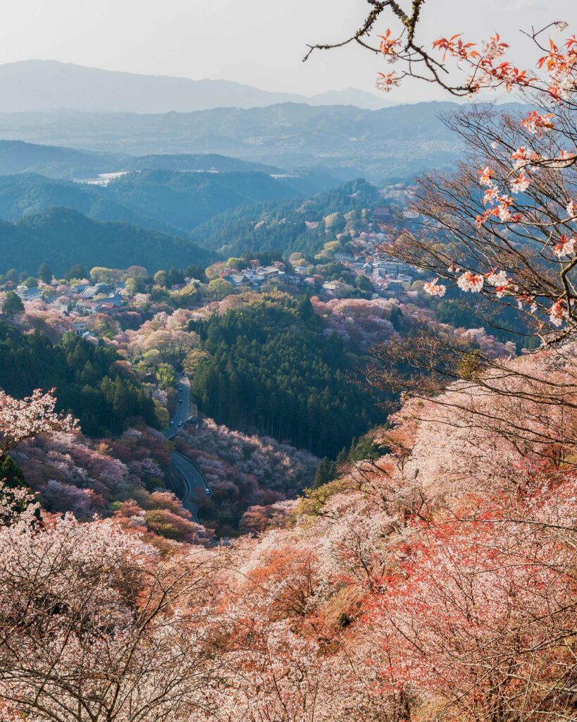 Uniquely Japanese - Travelogues from Remote Lands