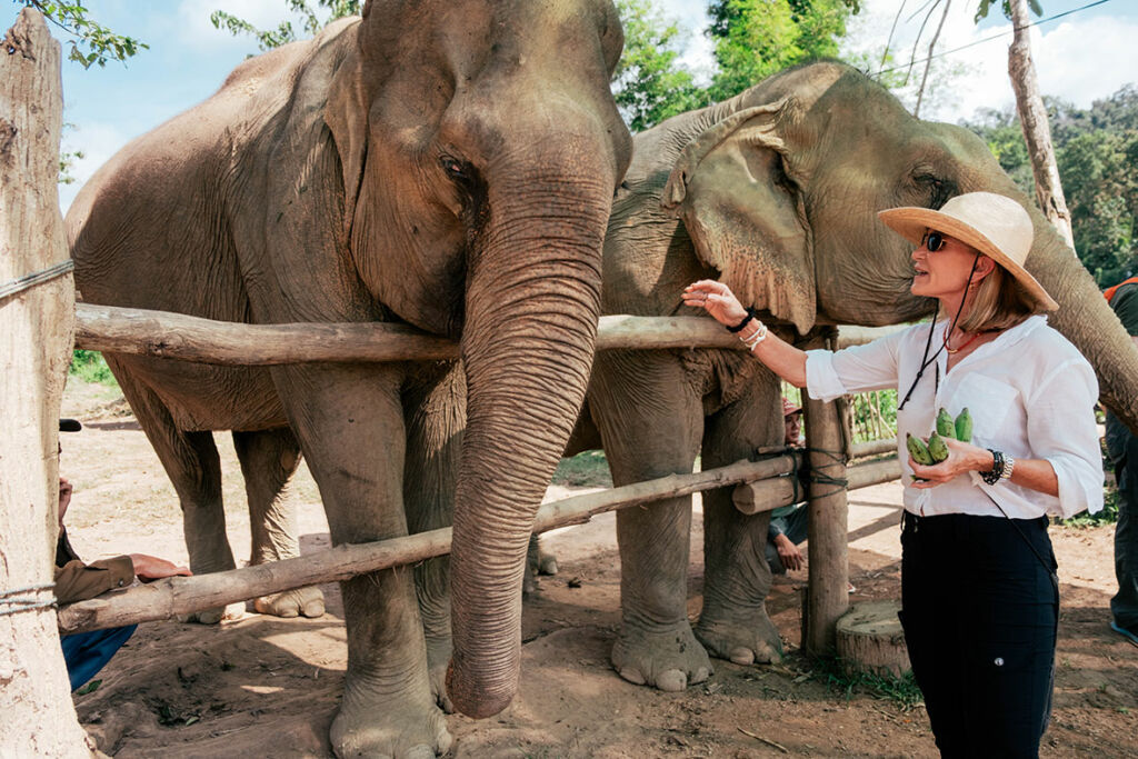 Aman Jet Expeditions for 2025 are Unveiled - Travelogues from Remote Lands