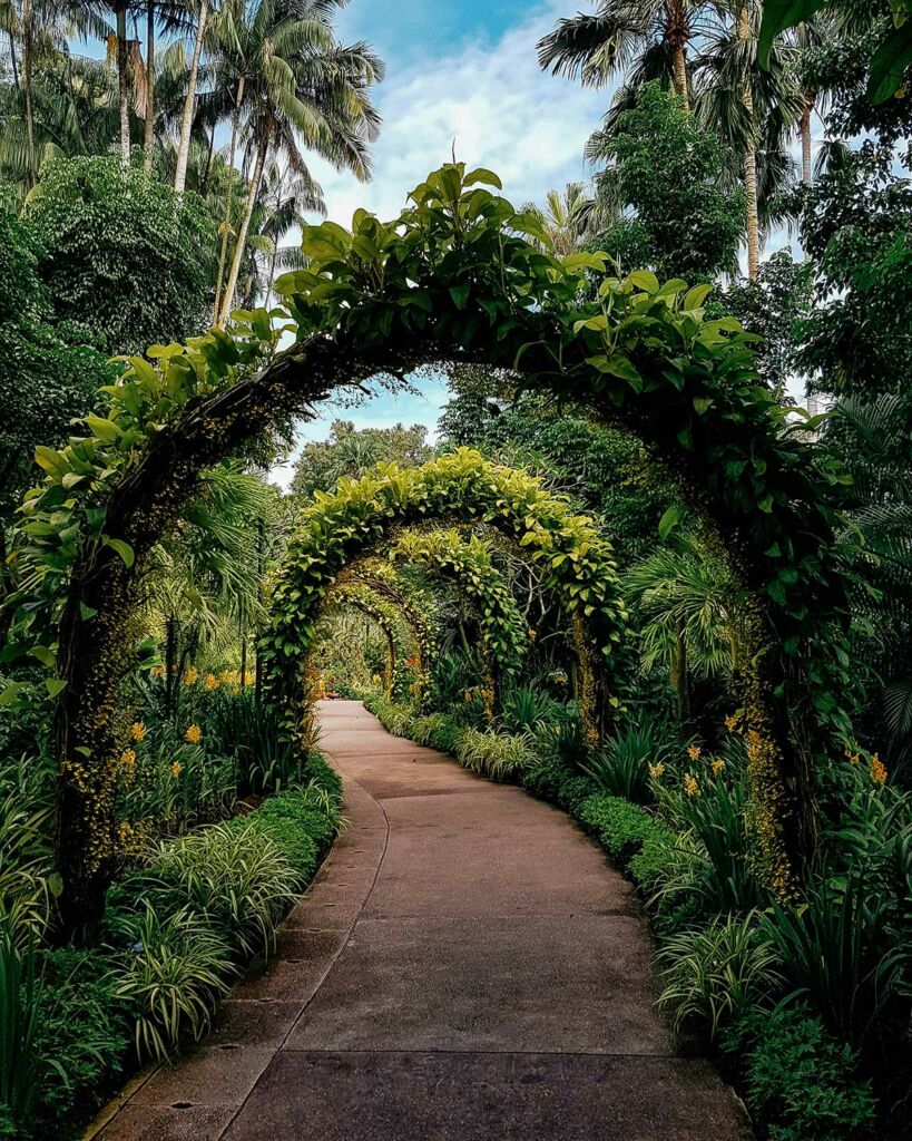 Everything’s Gone Green - Travelogues from Remote Lands