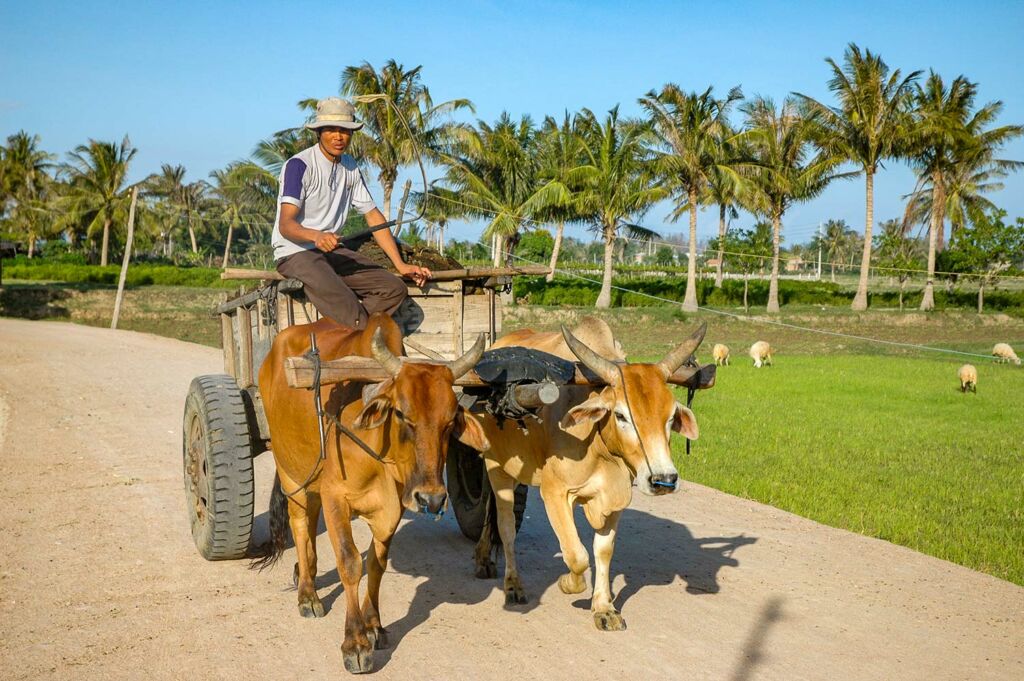 The Hidden Cham - Travelogues from Remote Lands