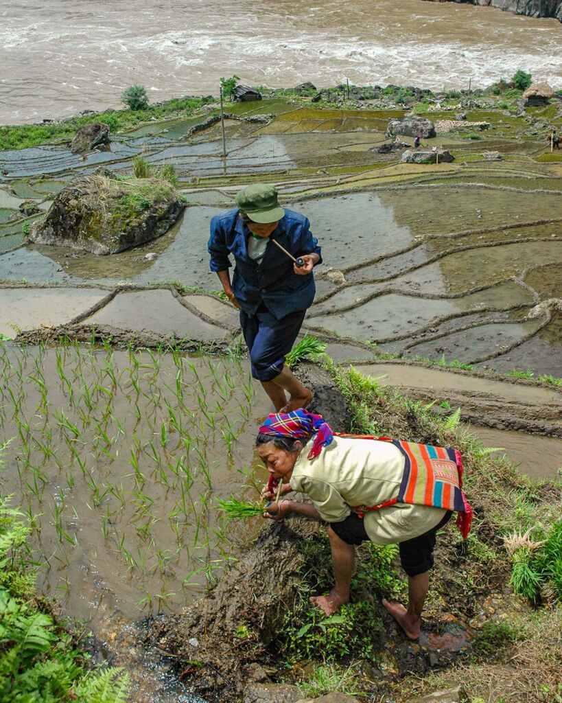 Wet and Wild - Travelogues from Remote Lands