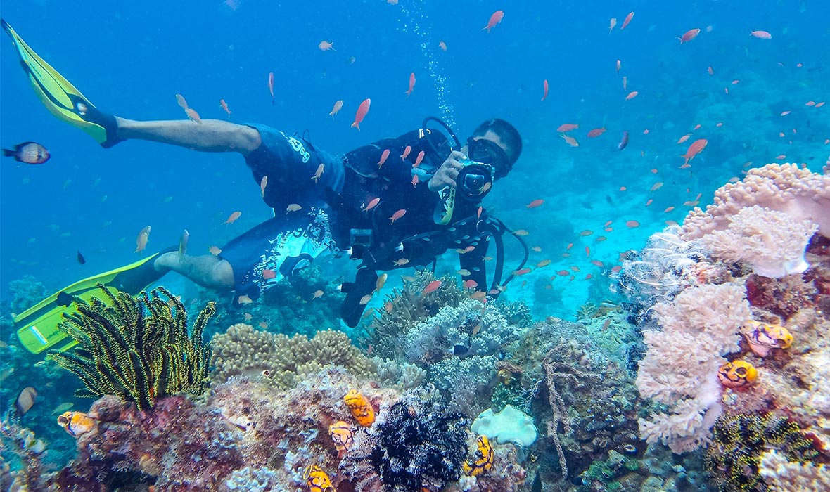 What Makes Sipadan The Best Dive Site In Malaysia Travelogues From